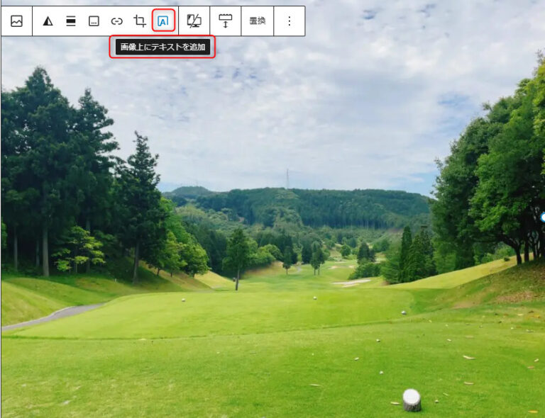 SWELLで画像の上に文字を置く方法4つの方法 - SWELL？AFFINGER？どっち！